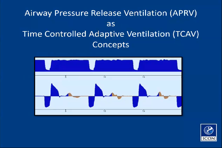 Academy Archive - ICON